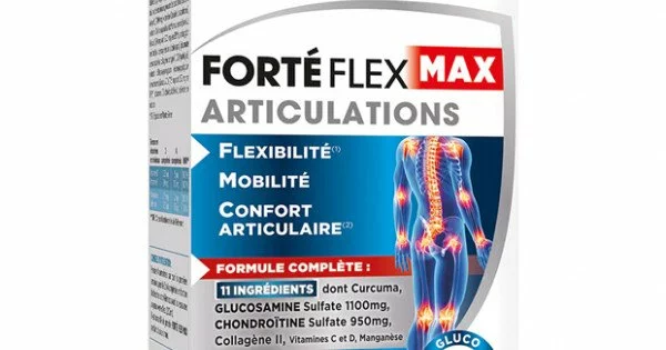 FORTE PHARMA FORTE FLEX MAX ARTICULATIONS 120CPS
