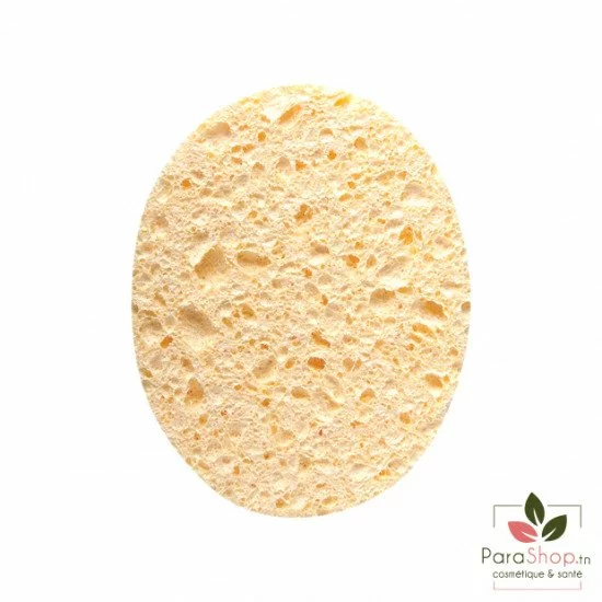 TITANIA Eponge Humide 12x9.5CM X2 - 1980